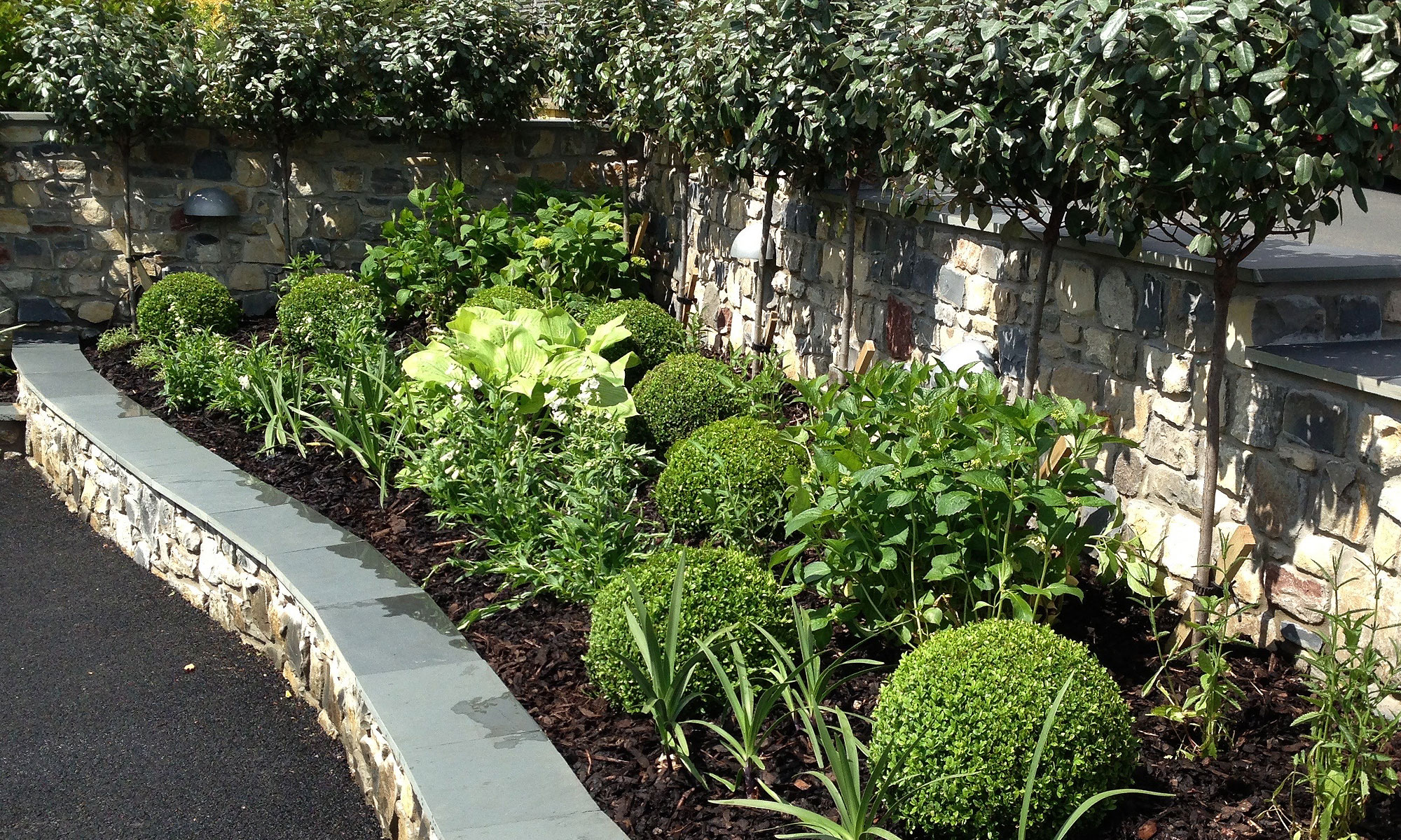 David Hastie | Garden Design