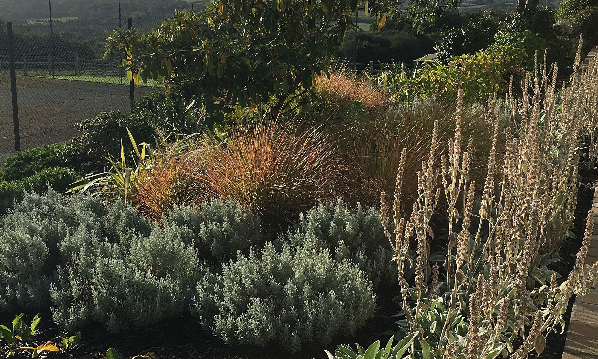 David Hastie | Garden Design