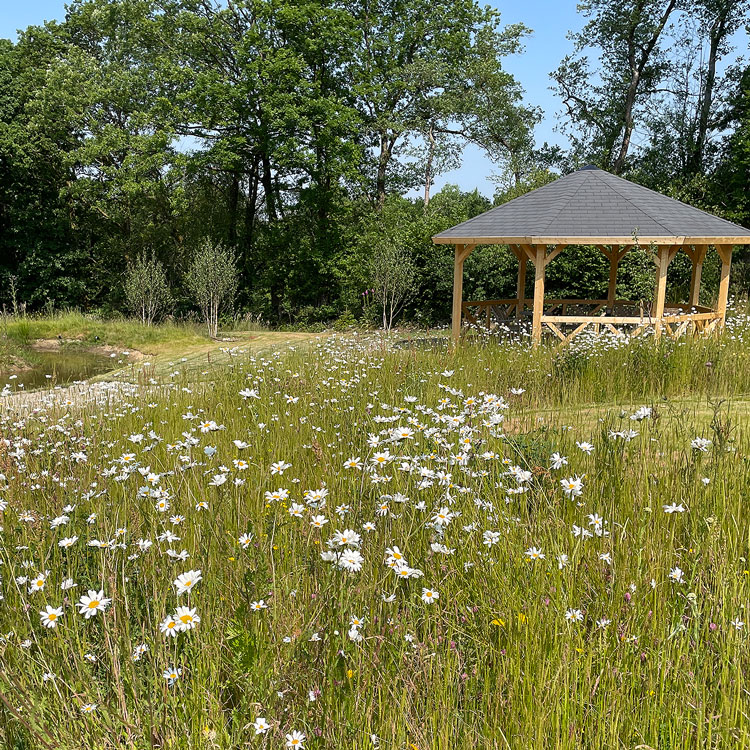 David Hastie | Garden Design